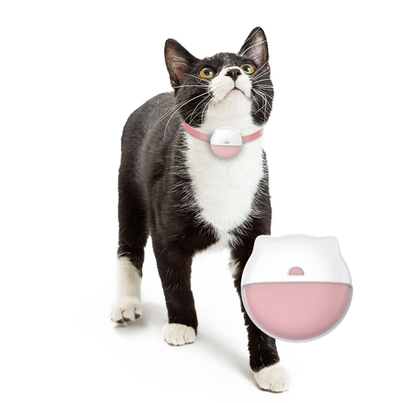 EV-206M GPS Cat Tracker | Small Geofence Collar with Wi-Fi and GPS